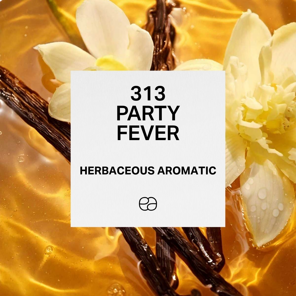 313 Party Fever | Equivalenza